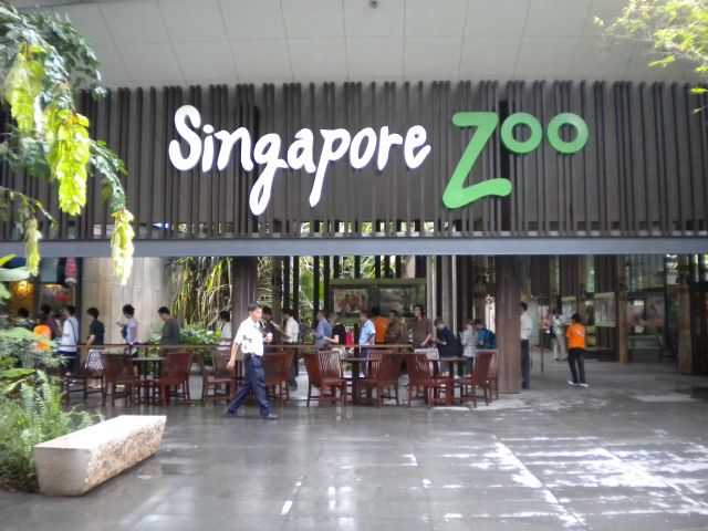 Viagem Incógnita: O Zoo e Sentosa