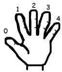 Lerngitarre: 05 - Die linke Hand