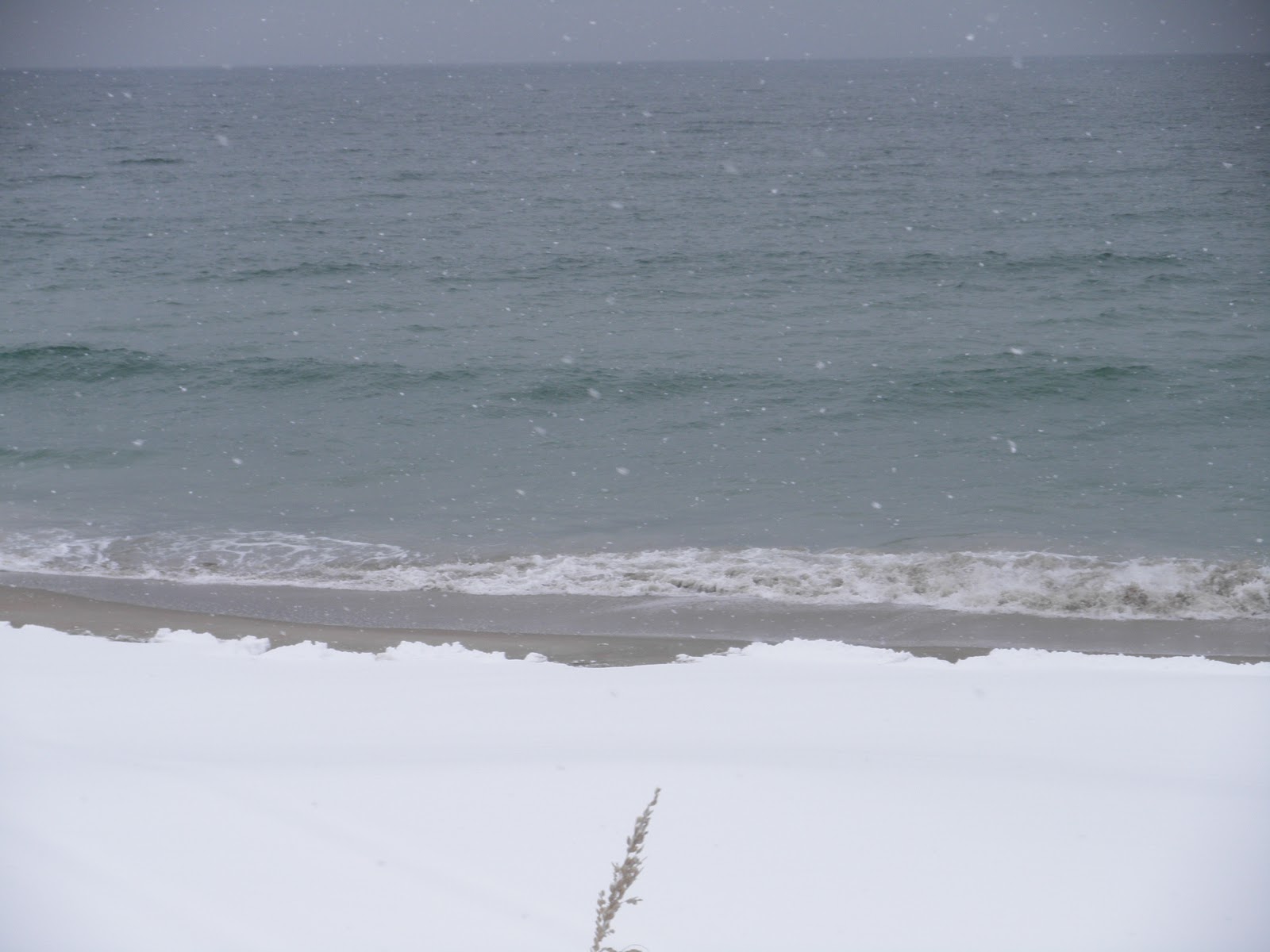 @ the beach: Snow Day at the beach!