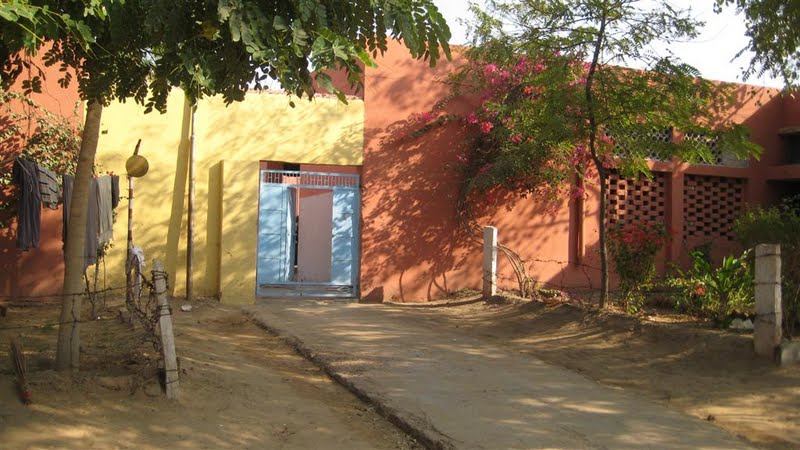 JAWAHAR NAVODAYA VIDYALAYA SARDARSHAHR CHURU: photo collection