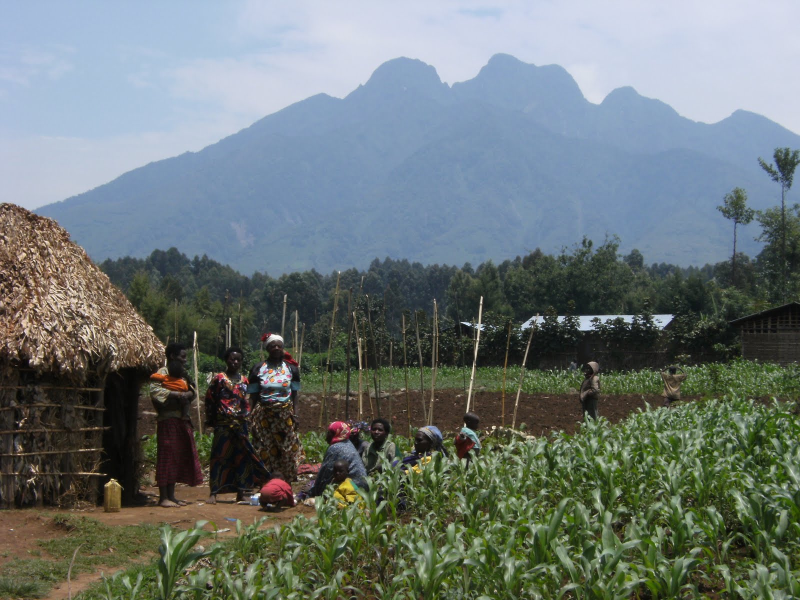 Growing together in Rwanda: The second Twa village