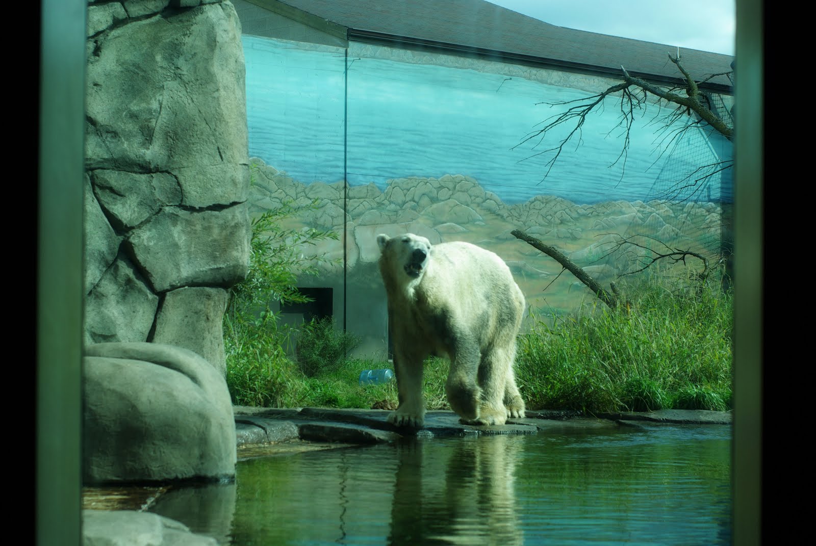 Lotus List Update: Como Zoo