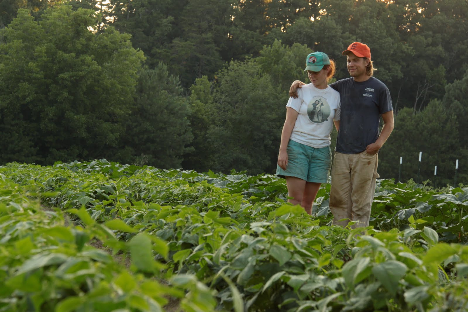 Turtle Bend Farm: Summer Pictures on the Farm