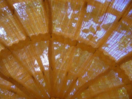 simple house furniture