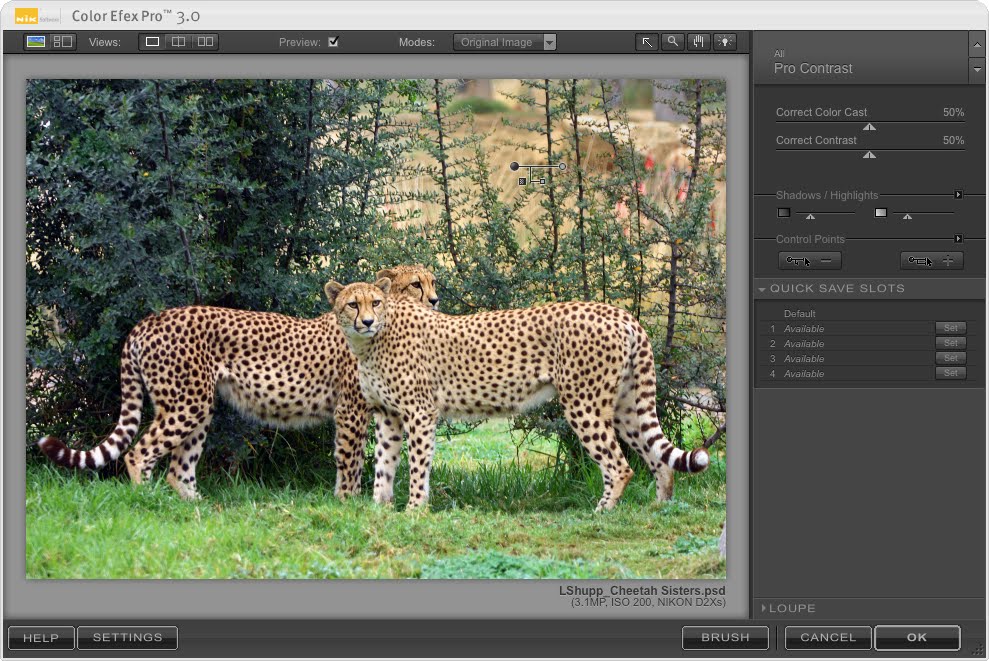 Laurie Rubin Shupp's Photography Blog: Nik Tip: From Flat to Fabulous ...