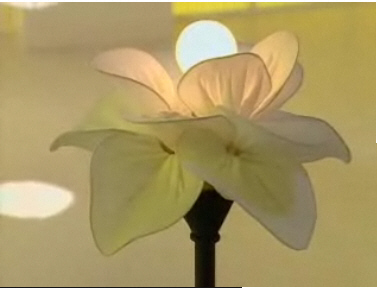 Artesã Virtual: Luminária flor