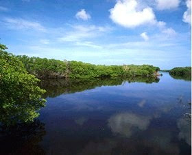 La Cultura Maya en Centroamérica y México: Isla de Jaina, Campeche, México
