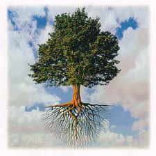 Kalpavriksha- The yoga tree of yogic life: Origin and meaning of ...