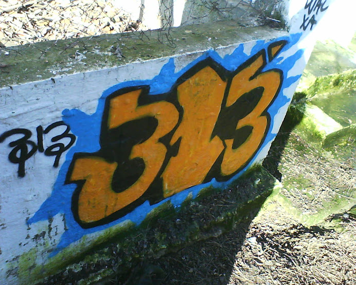 the 313 crew: Gt dikaiwma mas einai na akfrazomaste