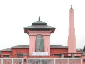 HERITAGE OF NEPAL: Narayanhiti Palace Museum
