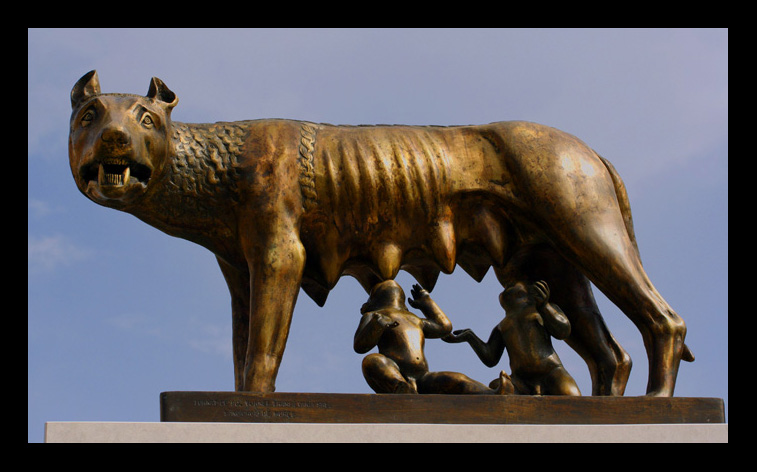 Catalin Fudulu - Sub sărutul luminii...: Lupoaica