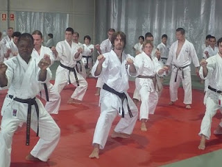 CLUB SHOTOKAN-CIUDAD REAL: Curso de Karate en Madrid