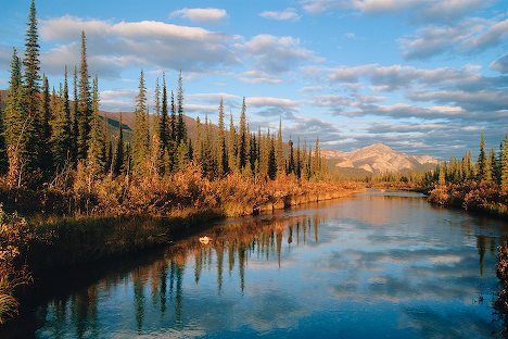 Margy's Musings: Fall in Alaska