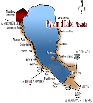 Margy's Musings: Pyramid Lake, Nevada