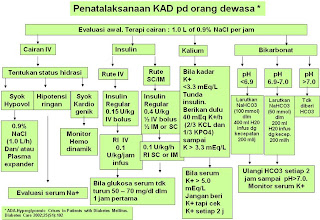 MEDIA INFORMASI KESEHATAN DAN KEDOKTERAN: KRISIS HIPERGLIKEMIK PADA DM