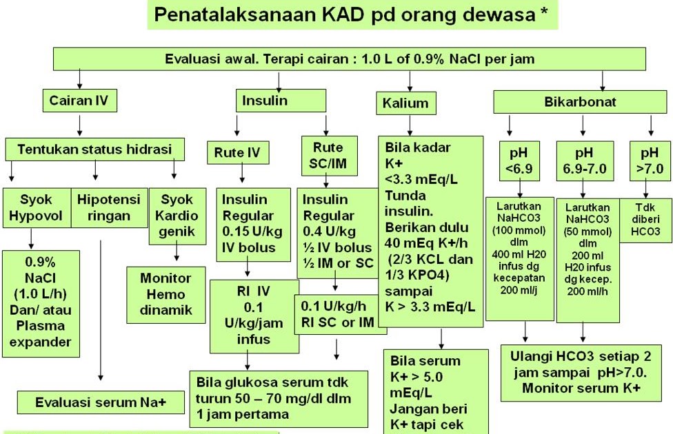 KETOASIDOSIS DIABETIK PDF