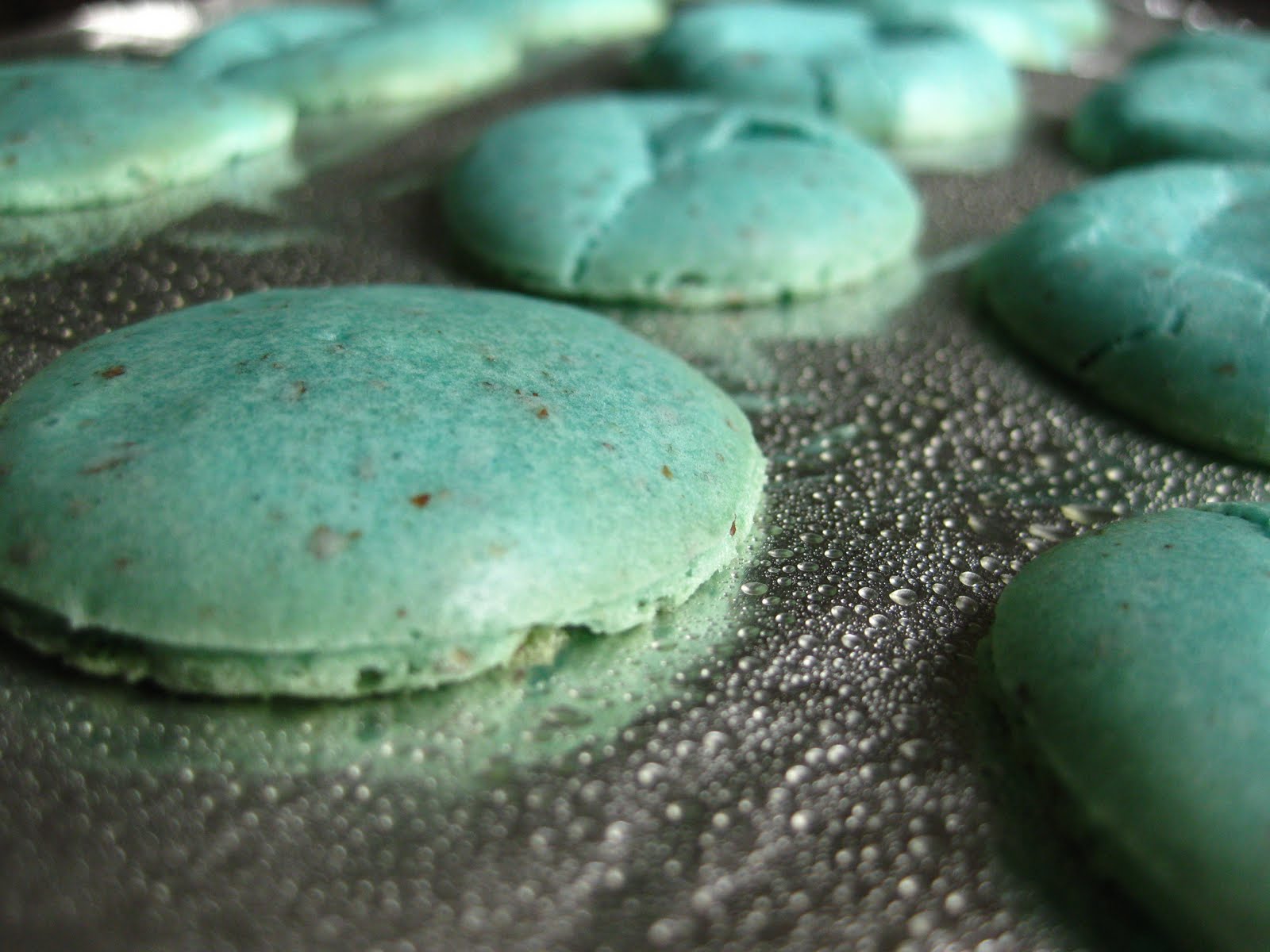 Domestic: Macaron fail