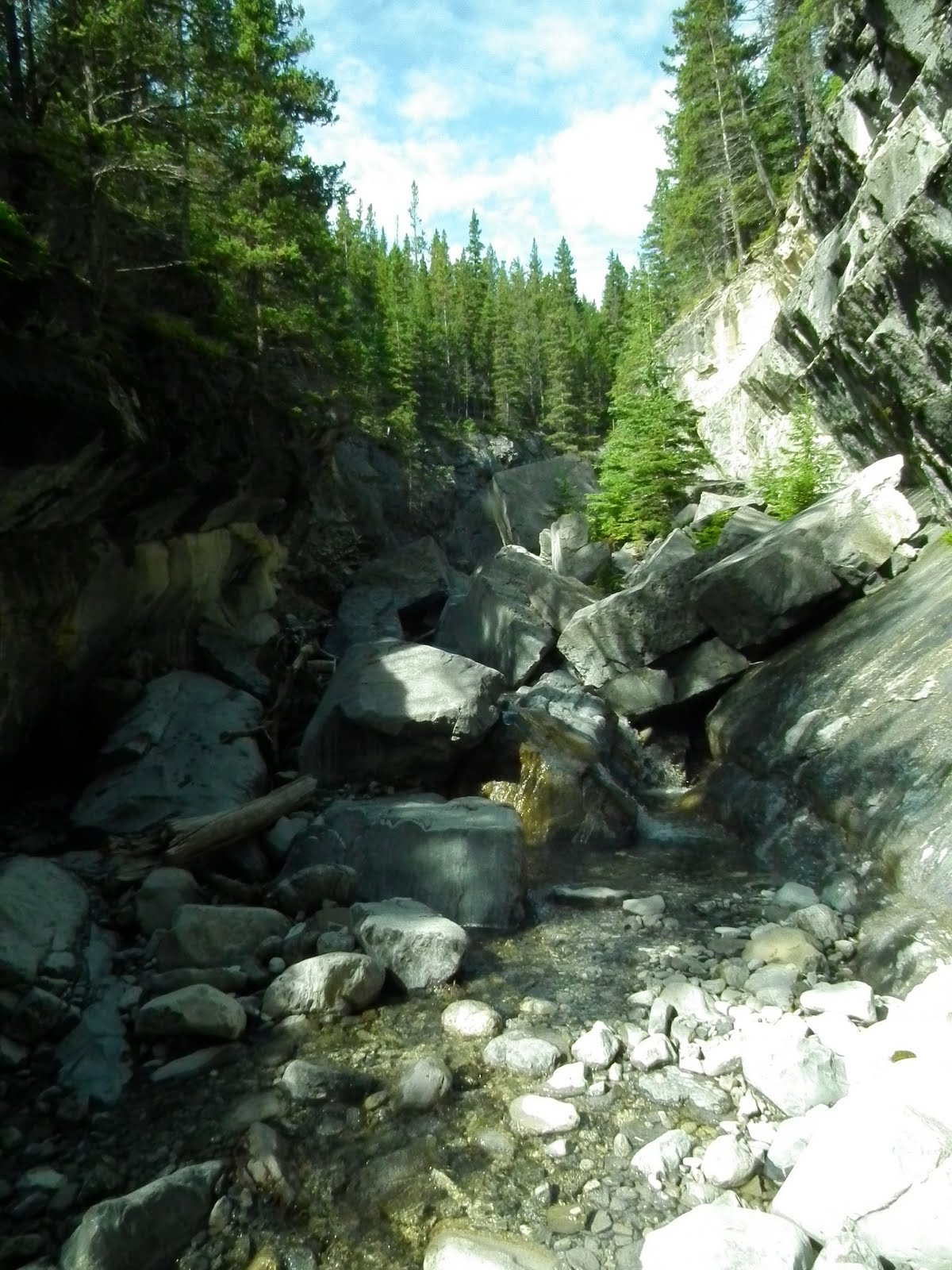 Happenings at Jello's House: To the Exshaw Shales Outcrop
