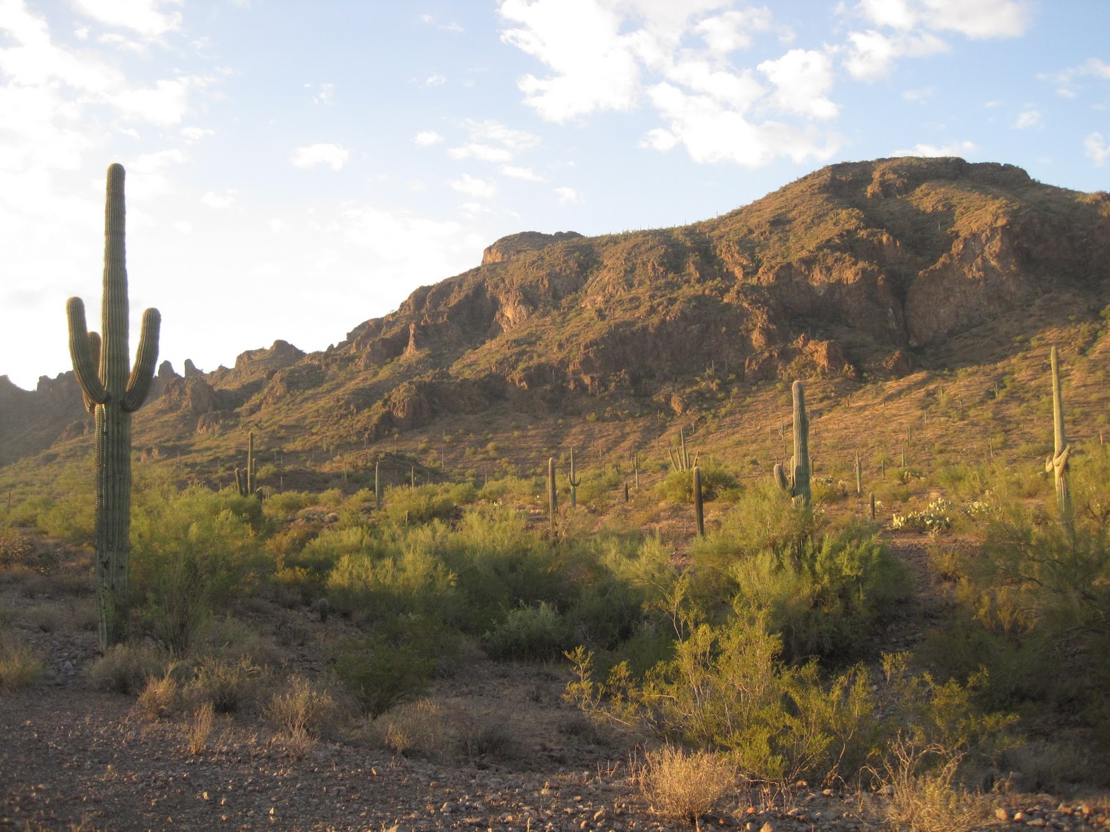 JoeAndCoreyRoadTrippin: Days 31, 32, 33, and 34: Desert Driving and ...