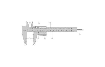 Miriam Borjas: pie de rey