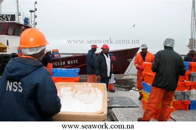 Fish fillet from Seawork fish processor: Fish fillet new photos uploaded