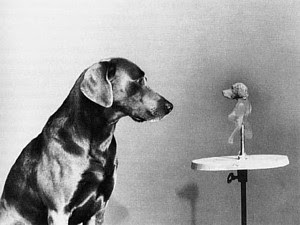 Will Hoffman: Man Ray