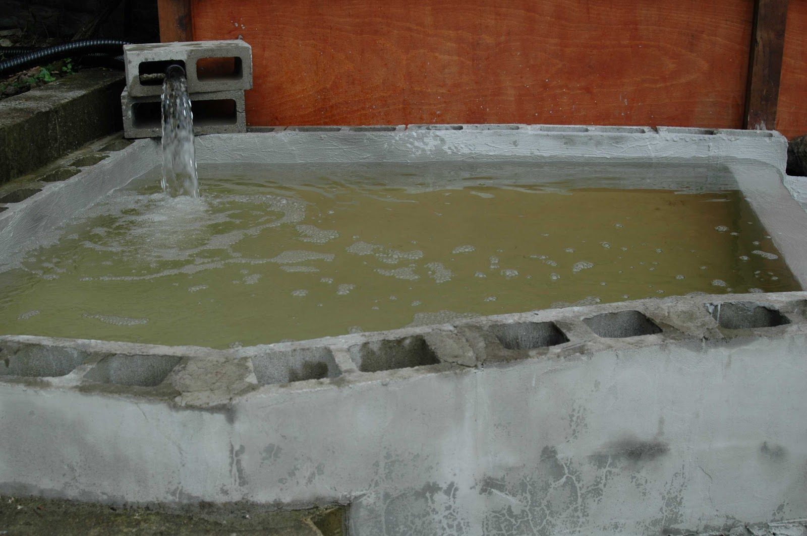 Small Concrete Pond: Building Pond from ground up