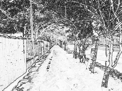 Imagini din Bucuresti: Cartierul Damaroaia