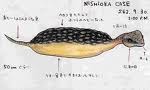 WASHOKU - Japanese Food Culture and Cuisine: Tsuchinoko