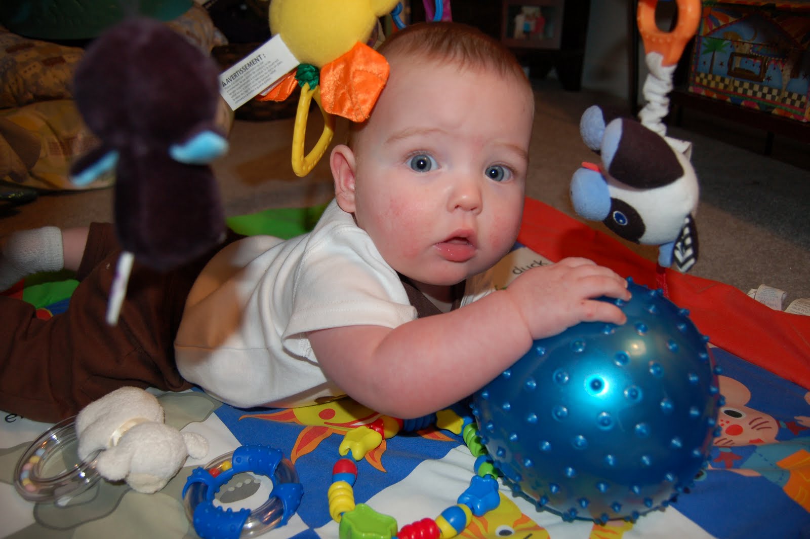 Noah Riley: Bumpy Ball # 1