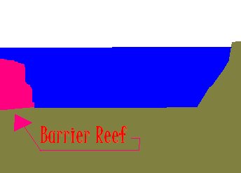 Bruce's Marine Blog: Coral Reefs!