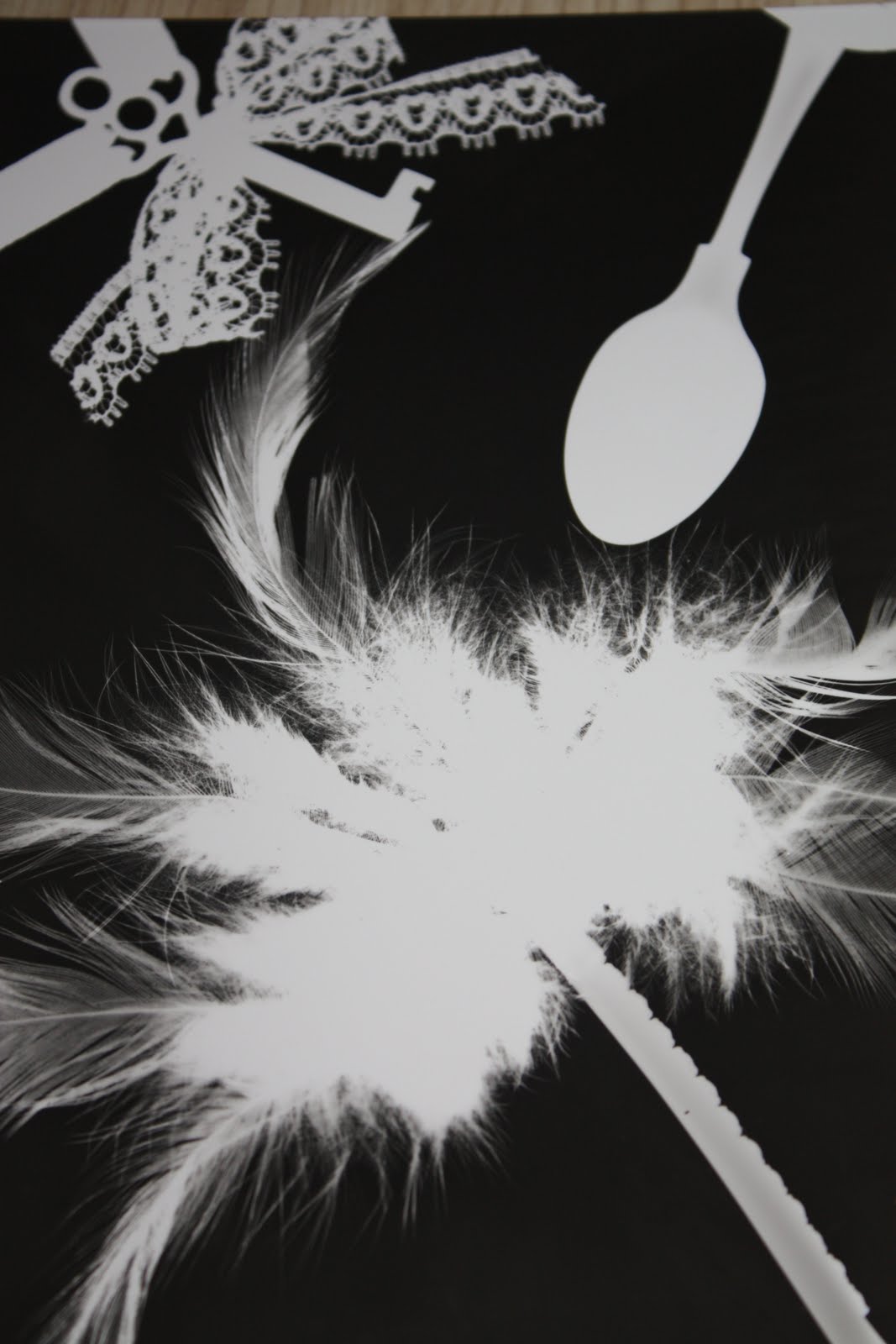 Jades Artistic Blog: Photograms