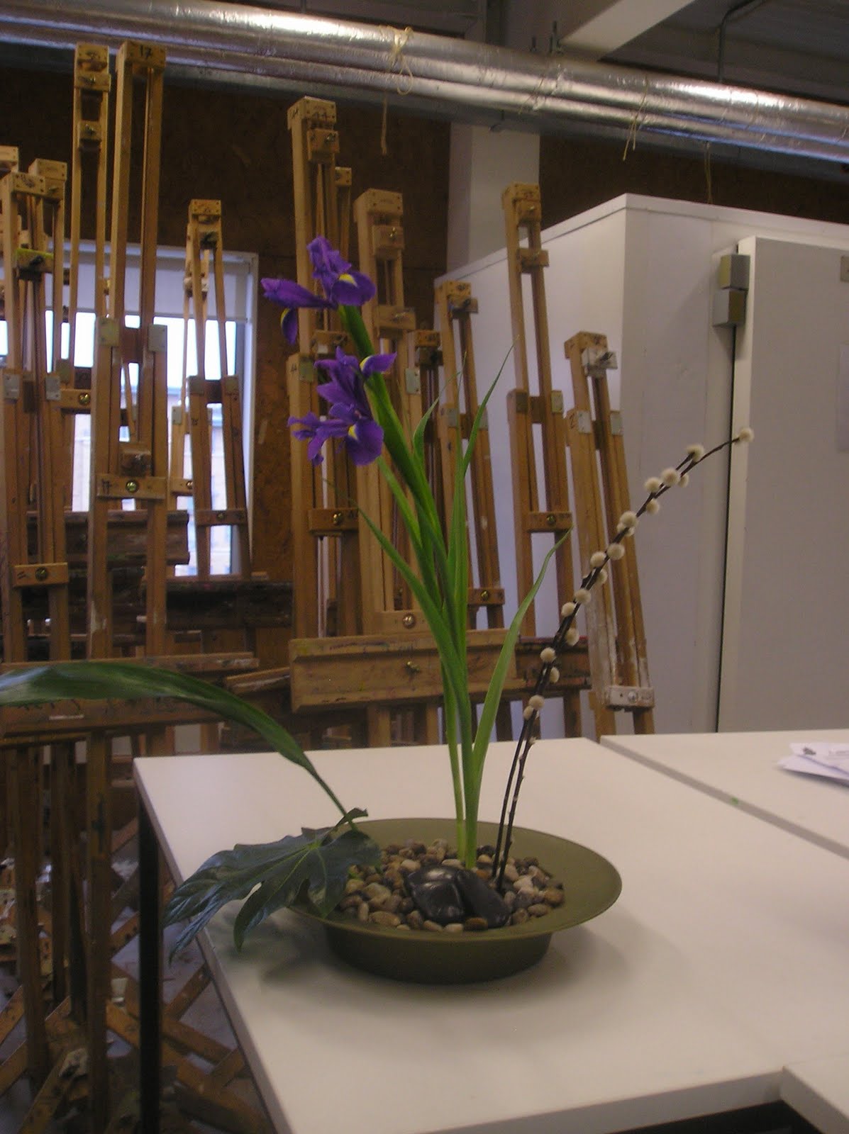 Sue's Family, Flowers and Fun Stuff: Spring Term Week 3