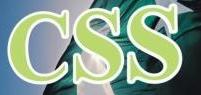 -| Shaikh Online |-: CSS Info (Central Superior Services)