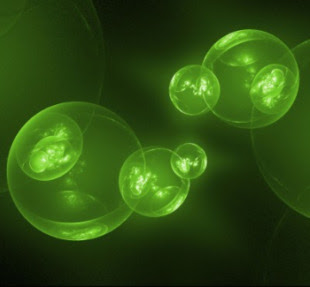 ecoliving GREENSTYLE: Enzyme Green Cleaning Products