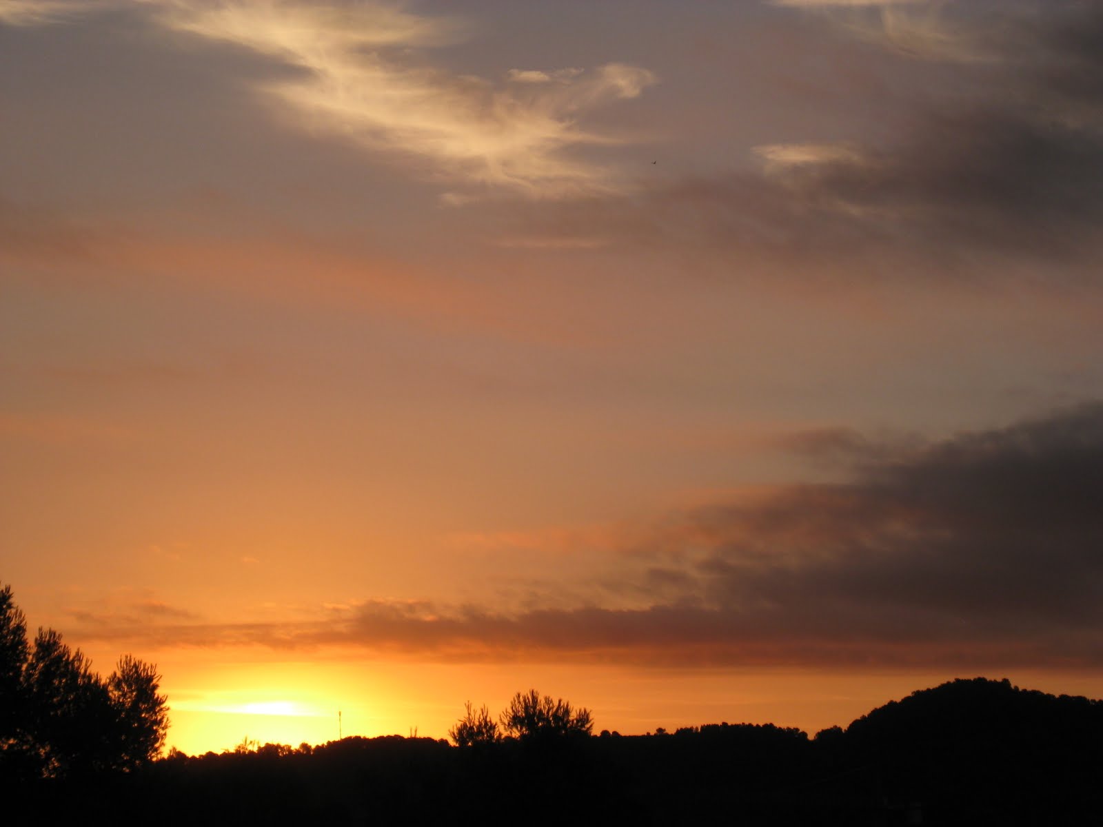 Fotografía Contemplativa: Una mirada a una bonita mañana 1