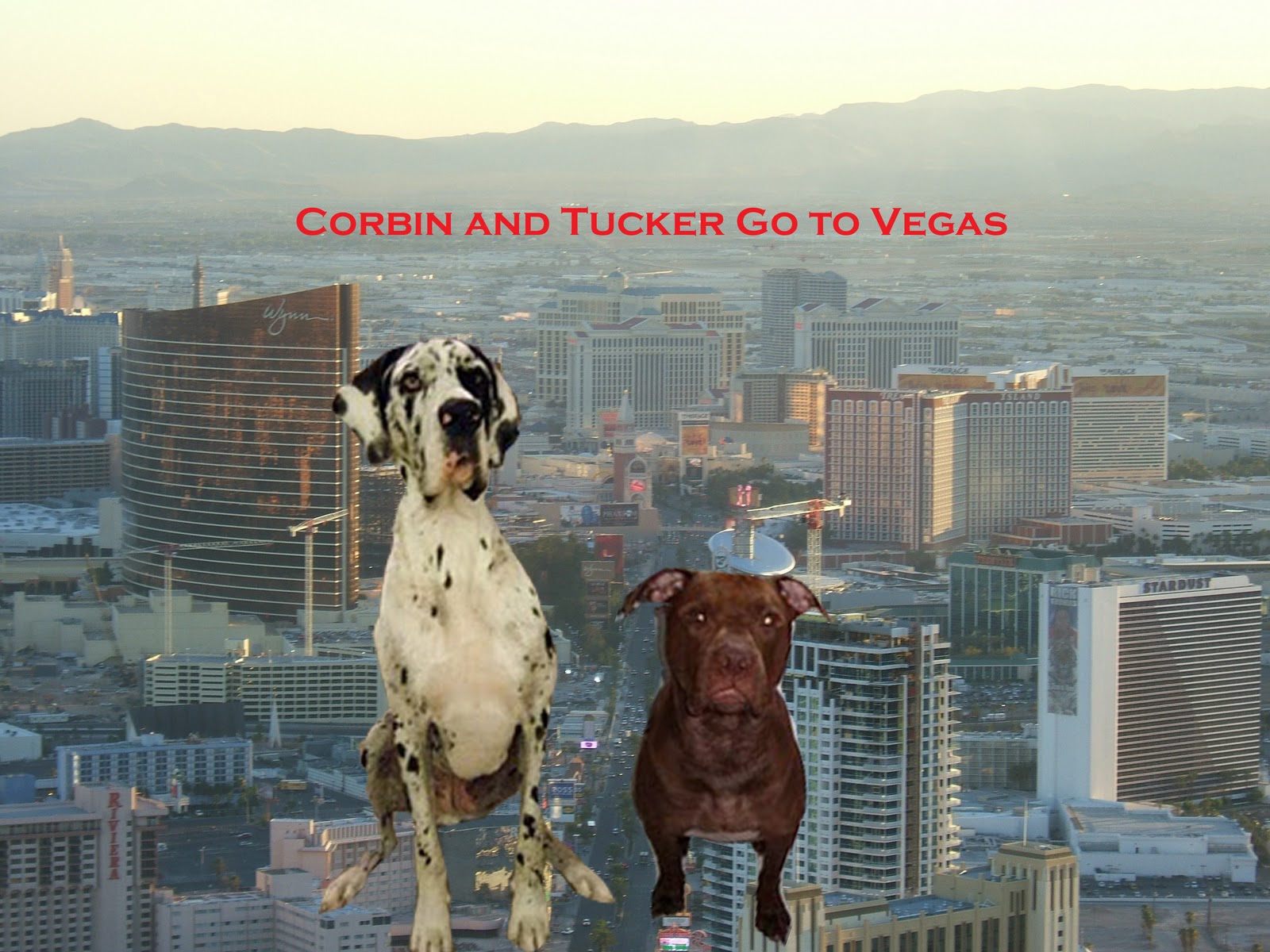 Tucker: Corbin and Tucker go to Vegas