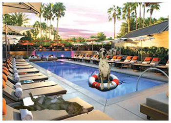 Tucker: Corbin and Tucker go to Vegas