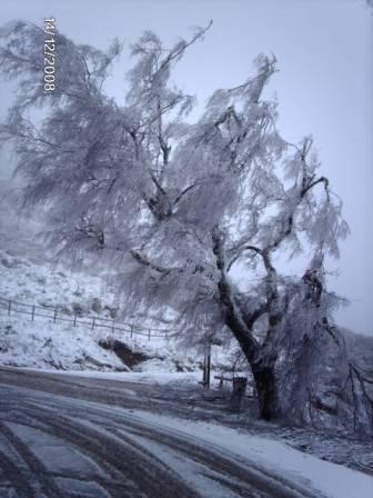 Visit Serra do Caramulo