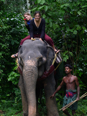 Memorabilia: Elephant ride at Thekkady - Never miss this out while ...
