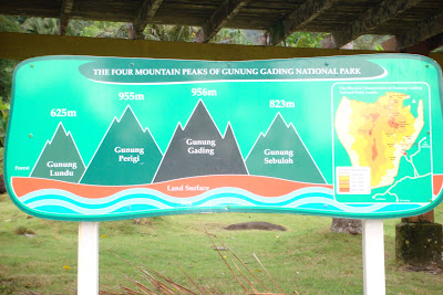 Brunei Mount Trekker: Mt. Gading Lundu Kuching Sarawak 24th April 2008