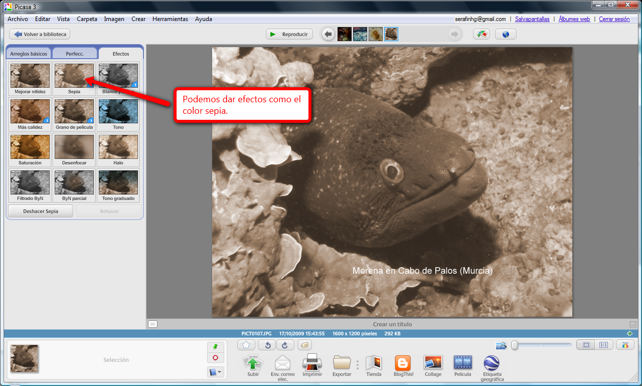 Aula Hospital de Leganés: EDITAR FOTOS CON PICASA