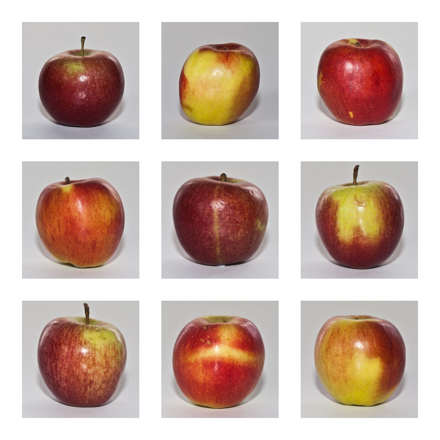 Exploring Photographic Practice