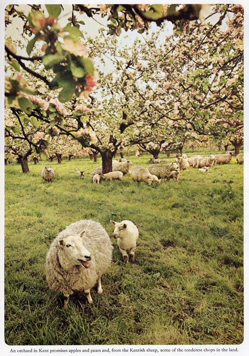 Sandra Eterovic: Time-Life's British Isles, circa 1969