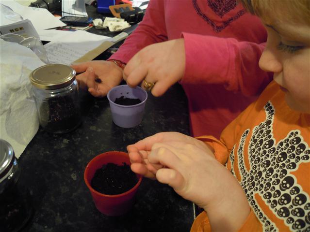 Life's Adventures: Venus Science project