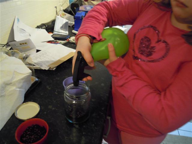 Life's Adventures: Venus Science project