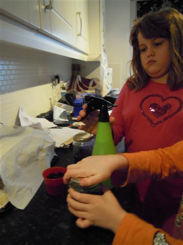 Life's Adventures: Venus Science project