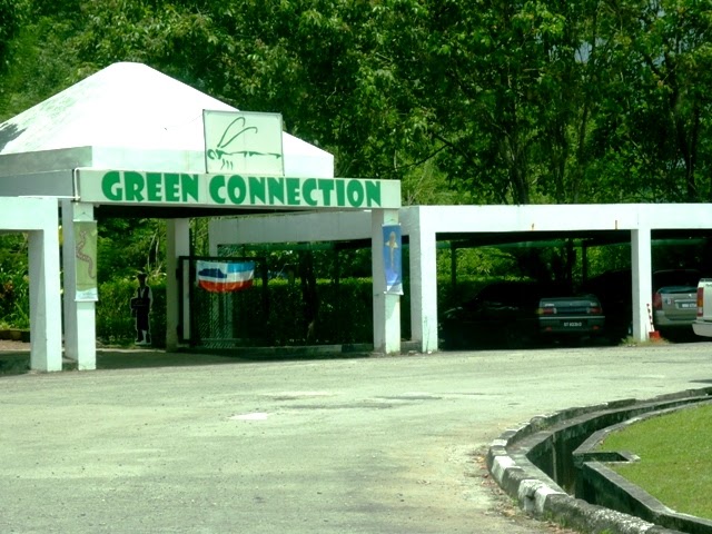 The Green Connection Aquarium @ Likas