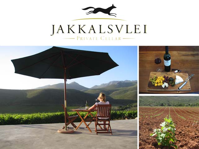 Lalakoi Tourism: Jakkalsvlei Wine Cellar near Mossel Bay making news again!