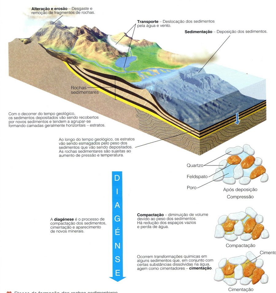 Biologia e Geologia: Diagénese